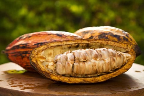 SeniorPlaza | De ontdekking van de chocolade - SeniorPlaza